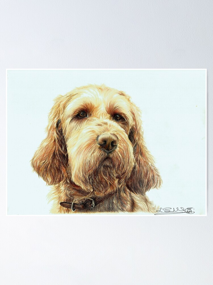 "Connie" Poster for Sale by IconicArt | Redbubble