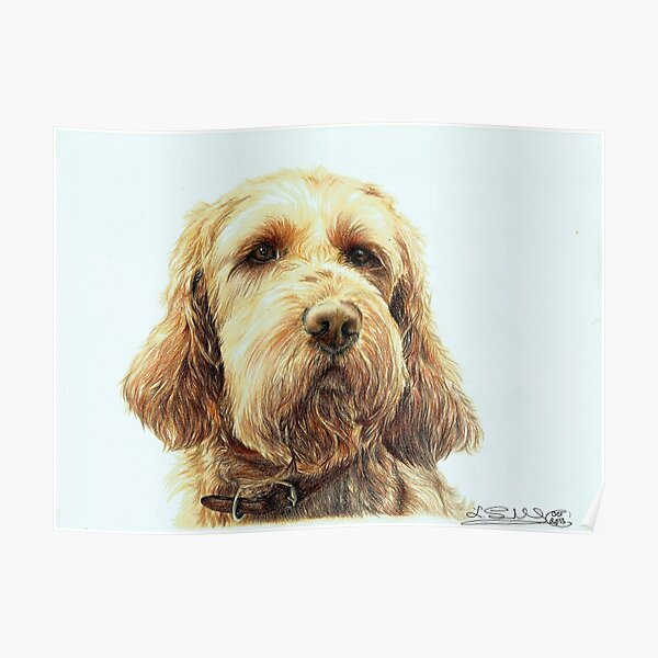 "Connie" Poster for Sale by IconicArt | Redbubble