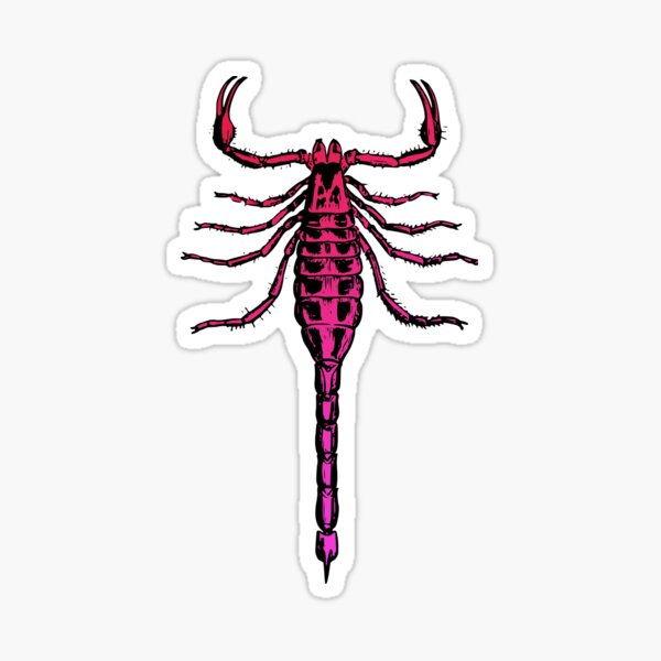 "Pretty Scorpion " Sticker for Sale by bethdaydreamzz | Redbubble