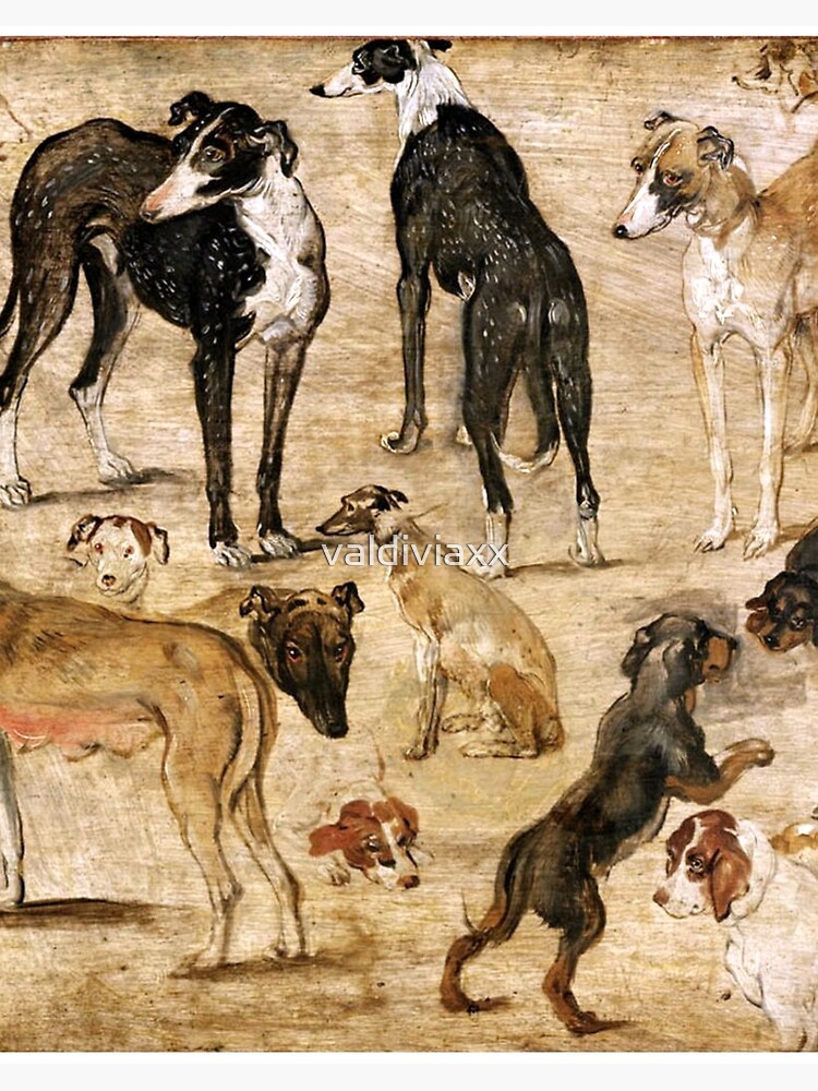 Stray Dog Art