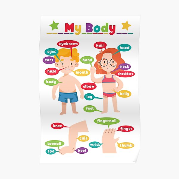 "Kids Body Parts Educational Poster for the Classroom" Poster for Sale ...