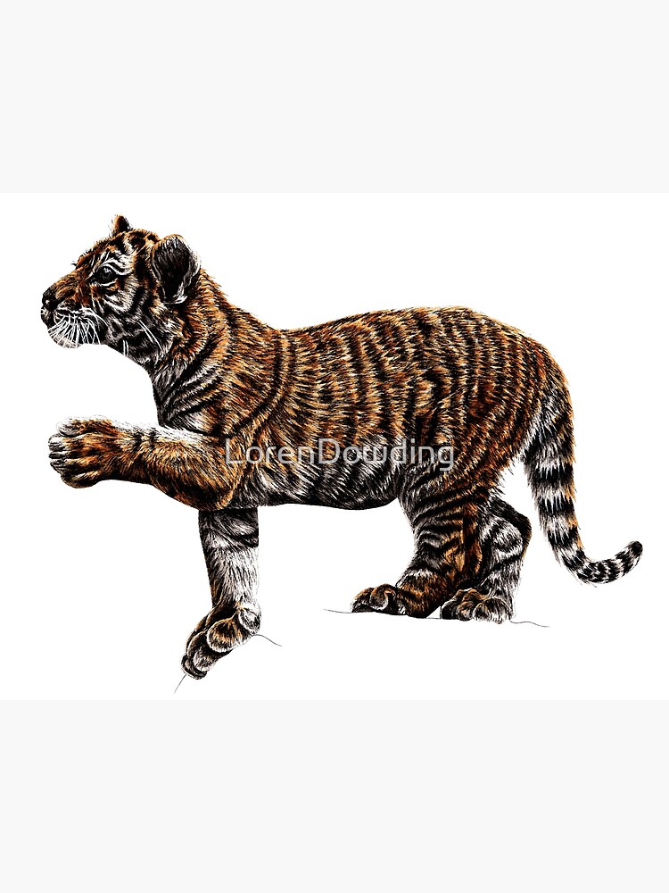 "Amur tiger cub colour illustration" Poster for Sale by LorenDowding ...
