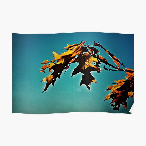 Paracetamol Posters | Redbubble