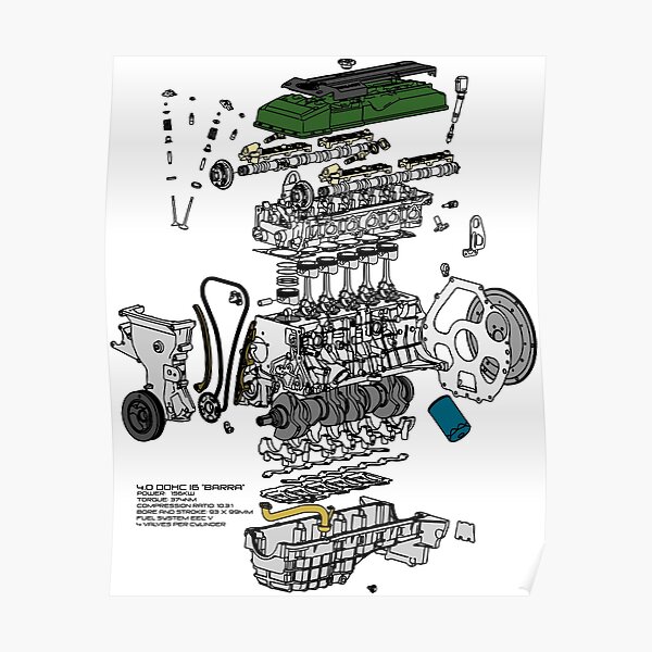 "Greentop Barra Infographic" Poster for Sale by STunerDesigns | Redbubble