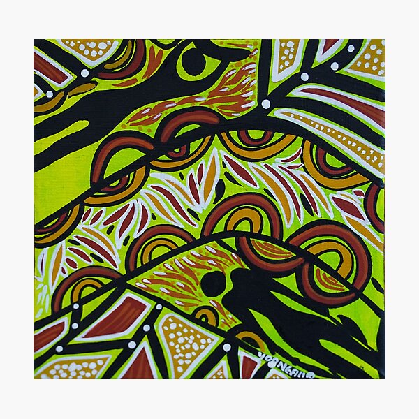 "Australian Rainforest People - Native Creations" Photographic Print ...