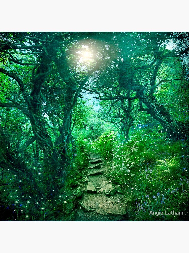 "The Secret Path (redone 2016)" Poster for Sale by Angie Latham | Redbubble