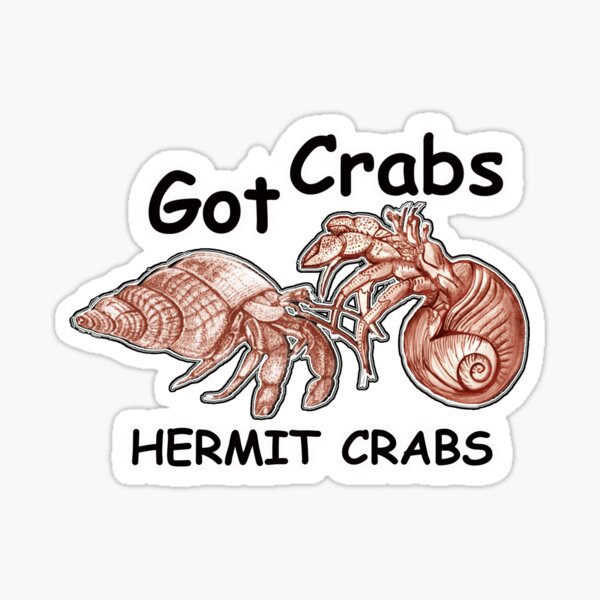 "GOT CRABS, HERMIT CRABS" Sticker for Sale by cgullart | Redbubble