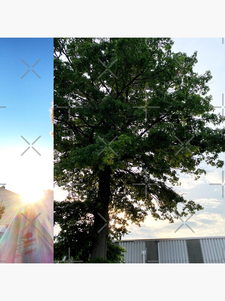 "Dltzk pretender" Sticker for Sale by johnson-g98 | Redbubble