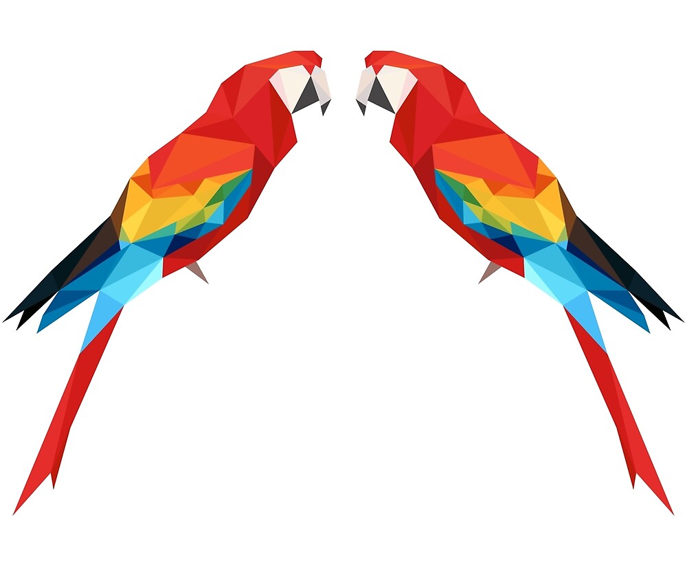 "Geometric Rainbow Parrot Macaw" by danmackey | Redbubble
