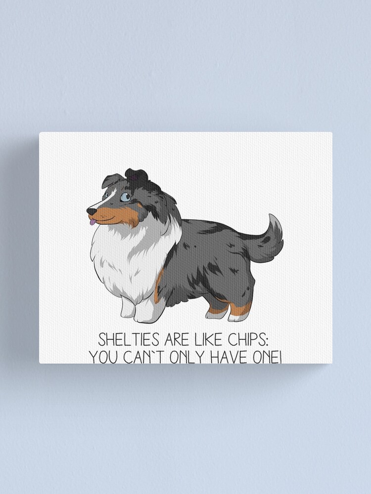 "Shelties are like chips Cartoon - Blue Merle Tri" Canvas Print for ...