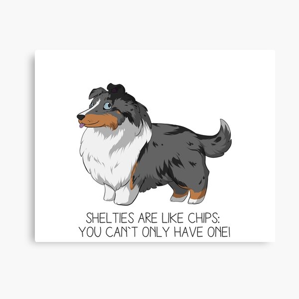 "Shelties are like chips Cartoon - Blue Merle Tri" Canvas Print for ...