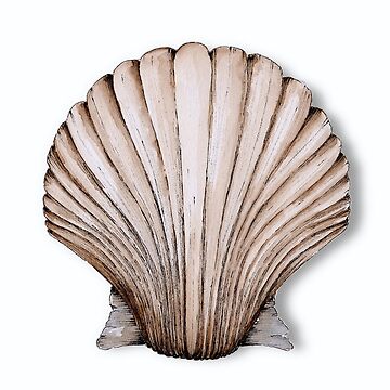 "Seashell scallop" Art Board Print for Sale by PetitMartin | Redbubble