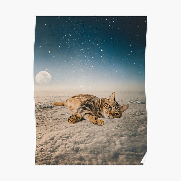 "napping" Poster by argobel13 | Redbubble