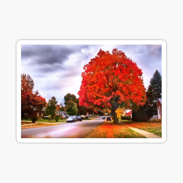 Prima Donna Geschenke & Merchandise | Redbubble