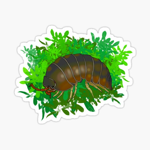 "Roly Poly" Sticker for Sale by pencilnekarts | Redbubble