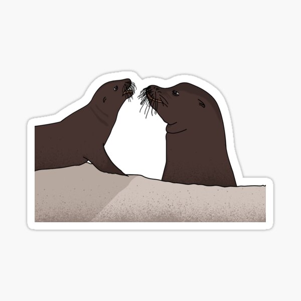 "Seal mom and her baby" Sticker for Sale by Cute-Treasure | Redbubble