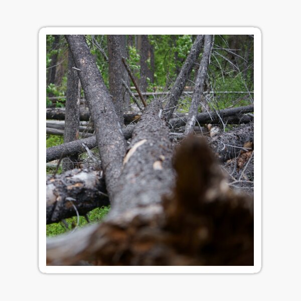 "Timber" Sticker for Sale by jmclmac | Redbubble