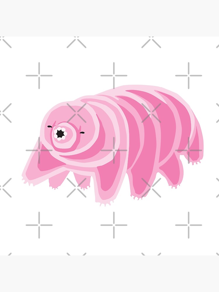 "Chubby Tardigrade Cute Baby Pink" Poster for Sale by KerriKerri ...