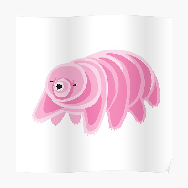 "Chubby Tardigrade Cute Baby Pink" Poster for Sale by KerriKerri ...