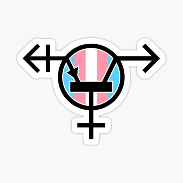 "Trans Pride Transistor" Sticker for Sale by NightDaemon | Redbubble
