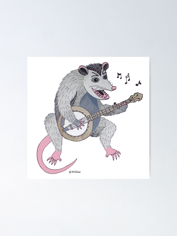 "Possum playing a banjo" Poster by PeggyCline | Redbubble