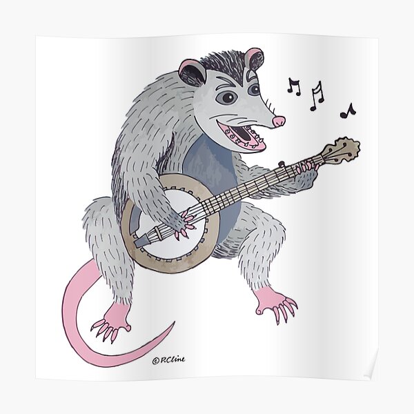 "Possum playing a banjo" Poster by PeggyCline | Redbubble