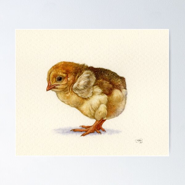"Chick" Poster for Sale by Himmapaan | Redbubble