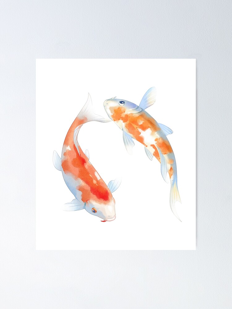 "Koi Fish - Tui and La - Yin & Yang Koi Art " Poster for Sale by Bonna ...