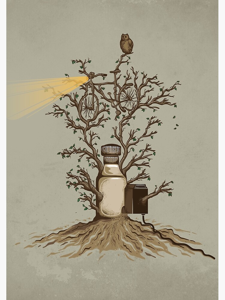 "Natural Light" Poster by RobertRichter | Redbubble