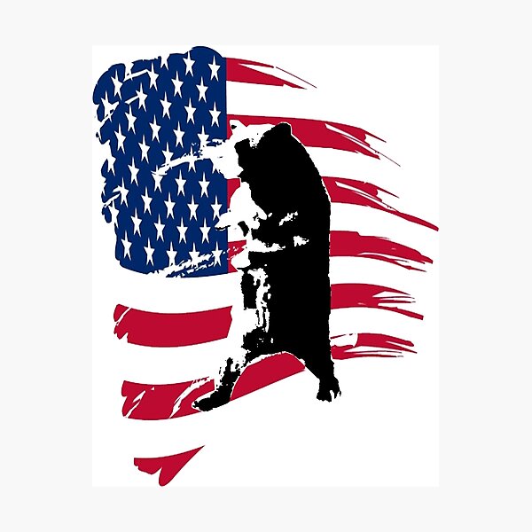 Lámina fotográfica «pedalea la bandera de los osos caminando amerianos» de earlstevens | Redbubble
