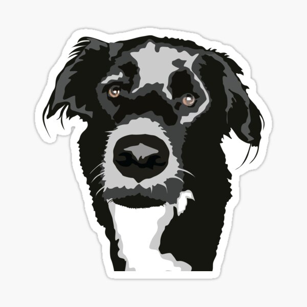"monte 2" Sticker for Sale by courtneykrauter | Redbubble