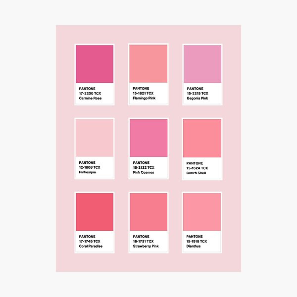 "Pantone Pink Palette" Photographic Print for Sale by gecarpenter ...