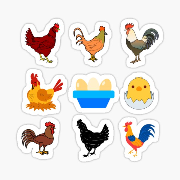 "Chickens Pollos Poulet" Sticker for Sale by janraydesigns | Redbubble