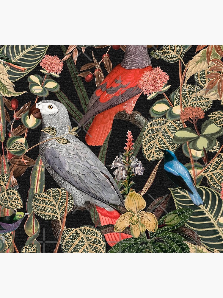 African Grey Parrots In The Jungle Classy Parrot Design. Socks Designed ...