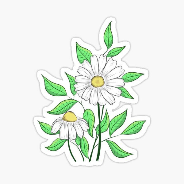 "Daisies " Sticker for Sale by Drawingbreaks | Redbubble
