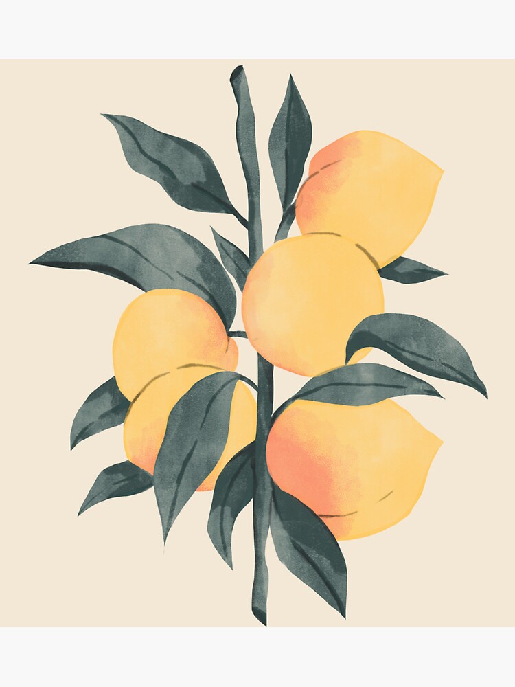 "Mango Fruit Art" Sticker for Sale by SwiftFoxx | Redbubble