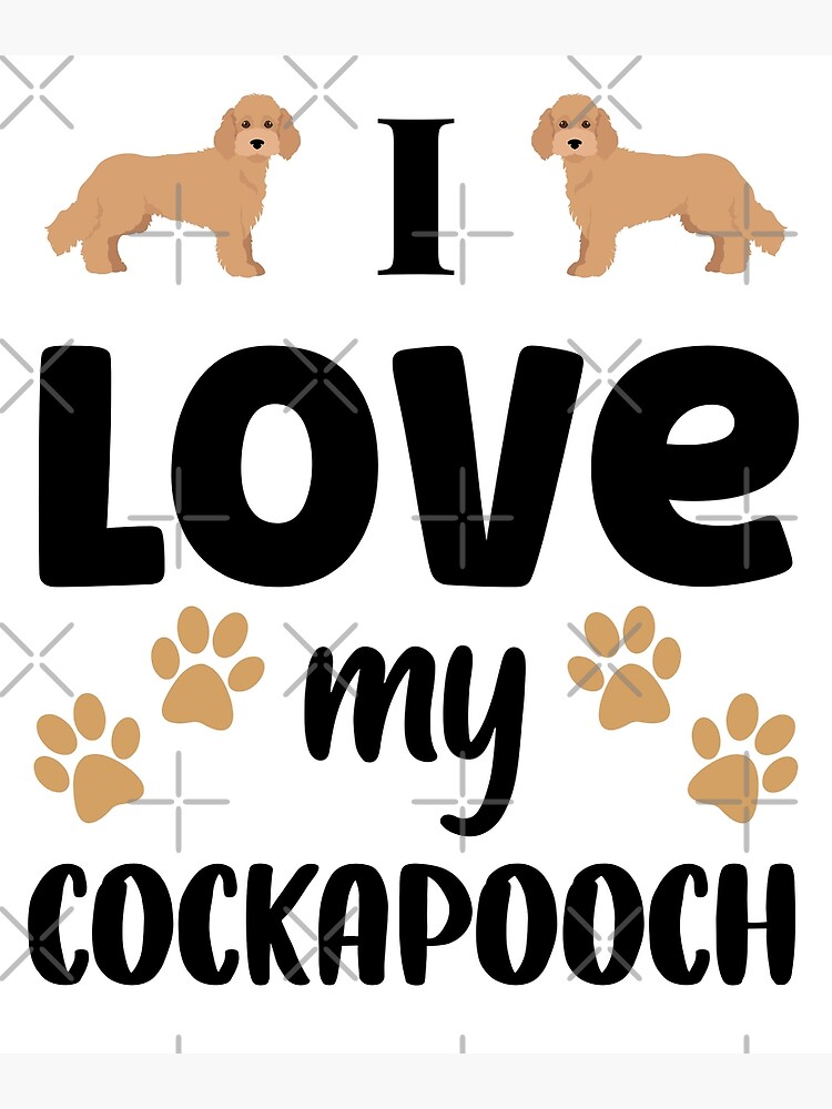 "I Love My Cockapooch" Poster by Labradoodlesetc | Redbubble