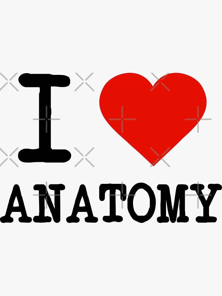 "I Love Anatomy" Sticker for Sale by staker | Redbubble