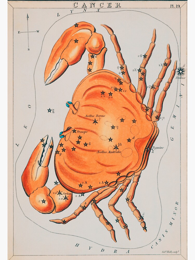 "Vintage Cancer Crab Zodiac Constellation Map" Sticker for Sale by ...