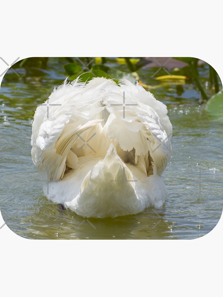 "Swan rear view" Sticker for Sale by ZinaStromberg | Redbubble