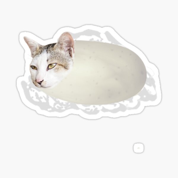 "Baked Potato Cat Meme" Sticker for Sale by QuotesStore-2 | Redbubble