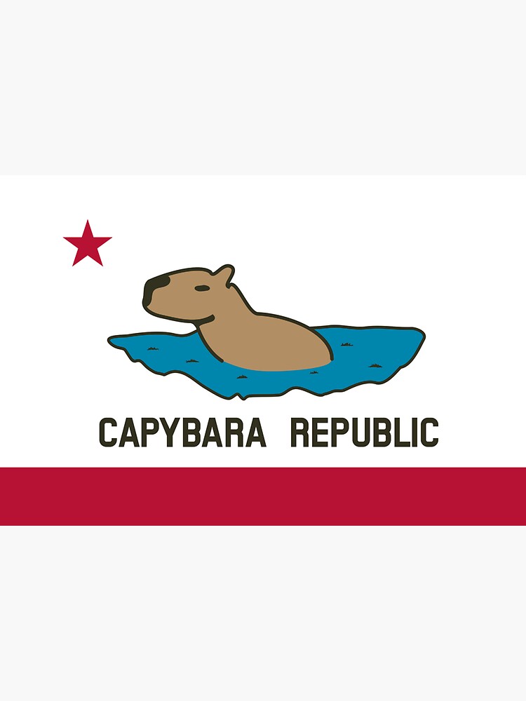 "Capybara Flag (Water version)" Sticker for Sale by spacebuck | Redbubble
