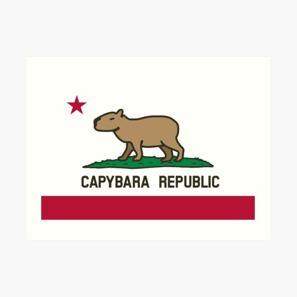 "Capybara Flag (normal land version)" Art Print by spacebuck | Redbubble