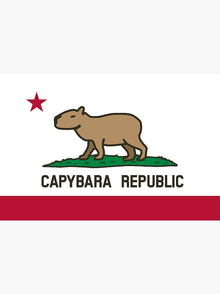 "Capybara Flag (normal land version)" Poster for Sale by spacebuck ...