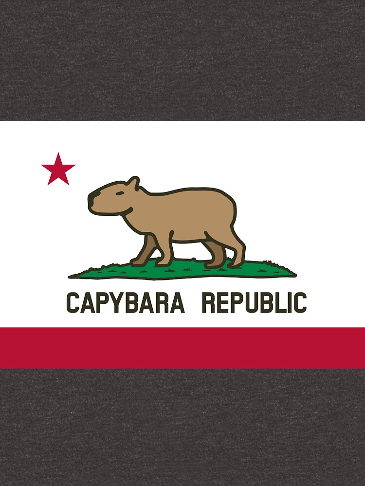 "Capybara Flag (normal land version)" T-shirt for Sale by spacebuck ...