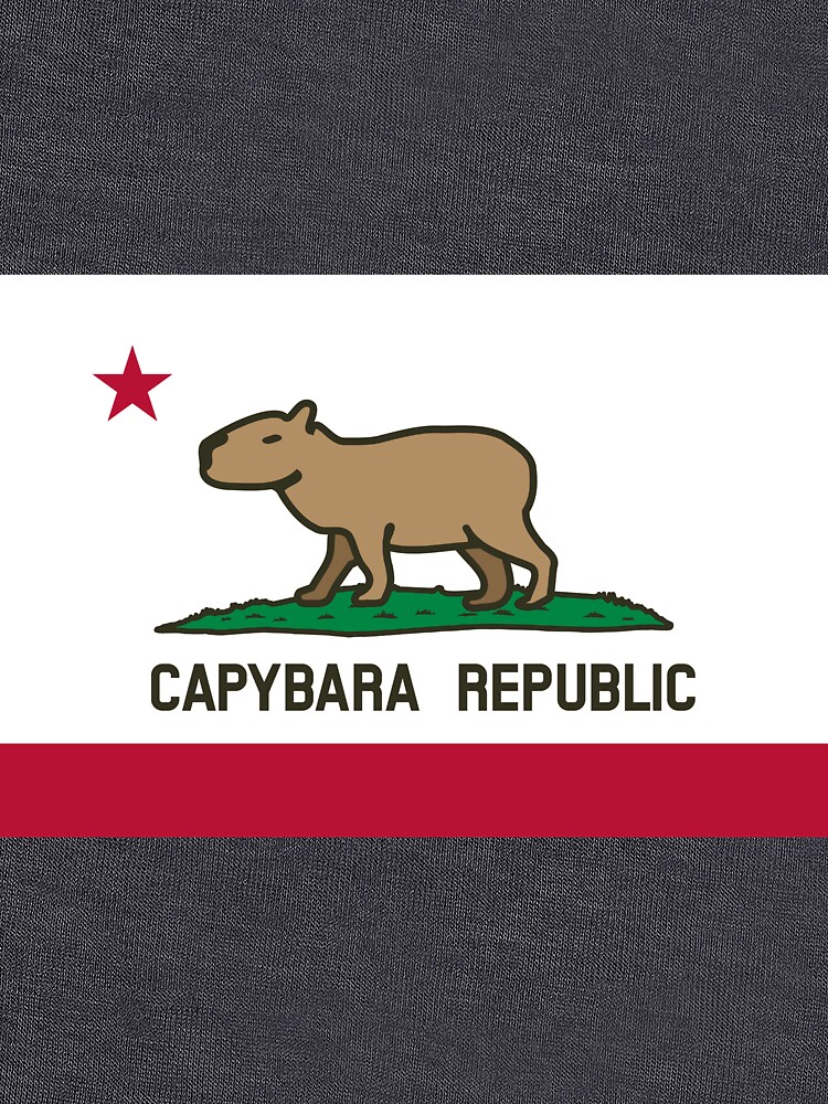 "Capybara Flag (normal land version)" Classic T-Shirt for Sale by ...