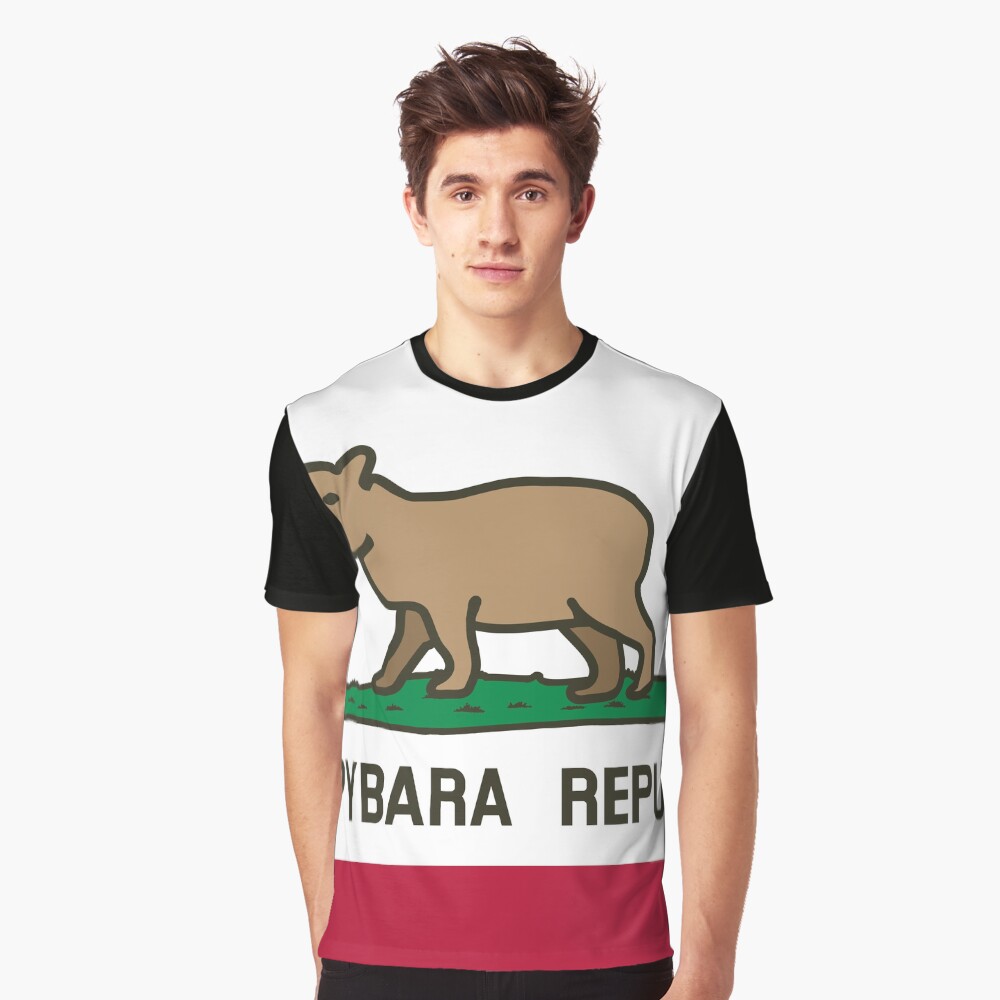 "Capybara Flag (normal land version)" Poster for Sale by spacebuck ...