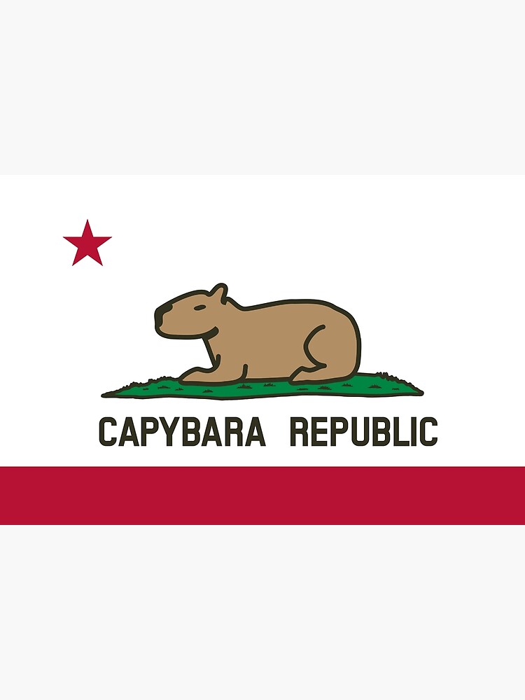"Capybara Flag (relaxed land version)" Poster for Sale by spacebuck ...