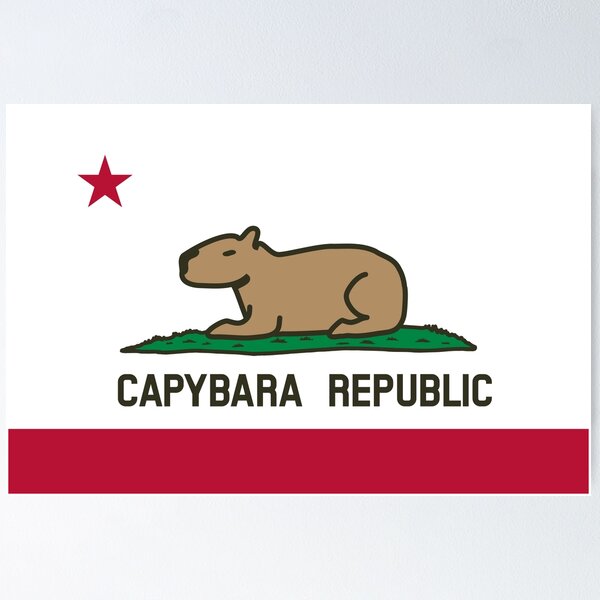 "Capybara Flag (relaxed land version)" Poster for Sale by spacebuck ...