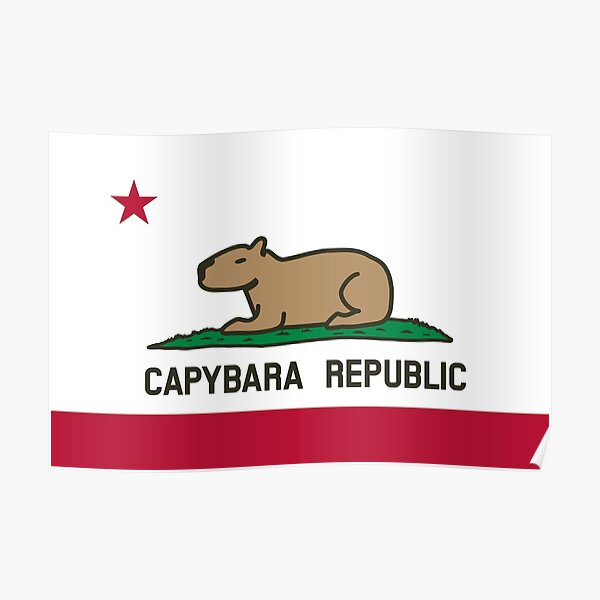 "Capybara Flag (relaxed land version)" Poster for Sale by spacebuck ...